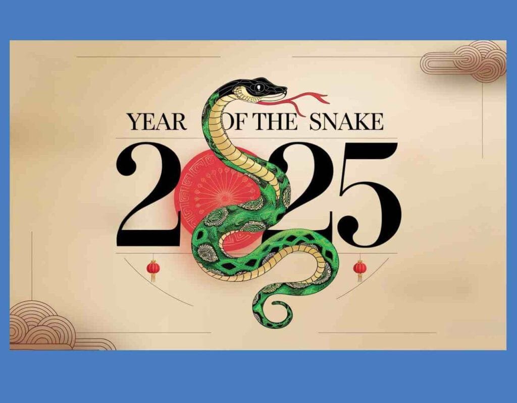 Ways to celebrate Year of the Snake - Miow and Molly