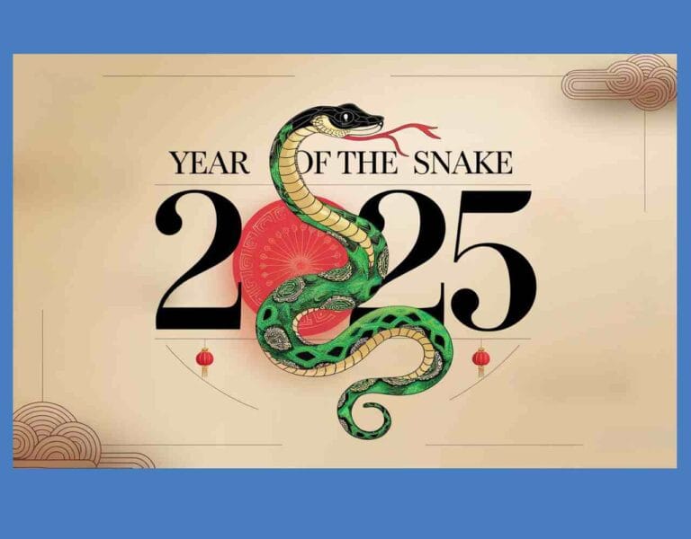 Ways to celebrate Year of the Snake - Miow and Molly