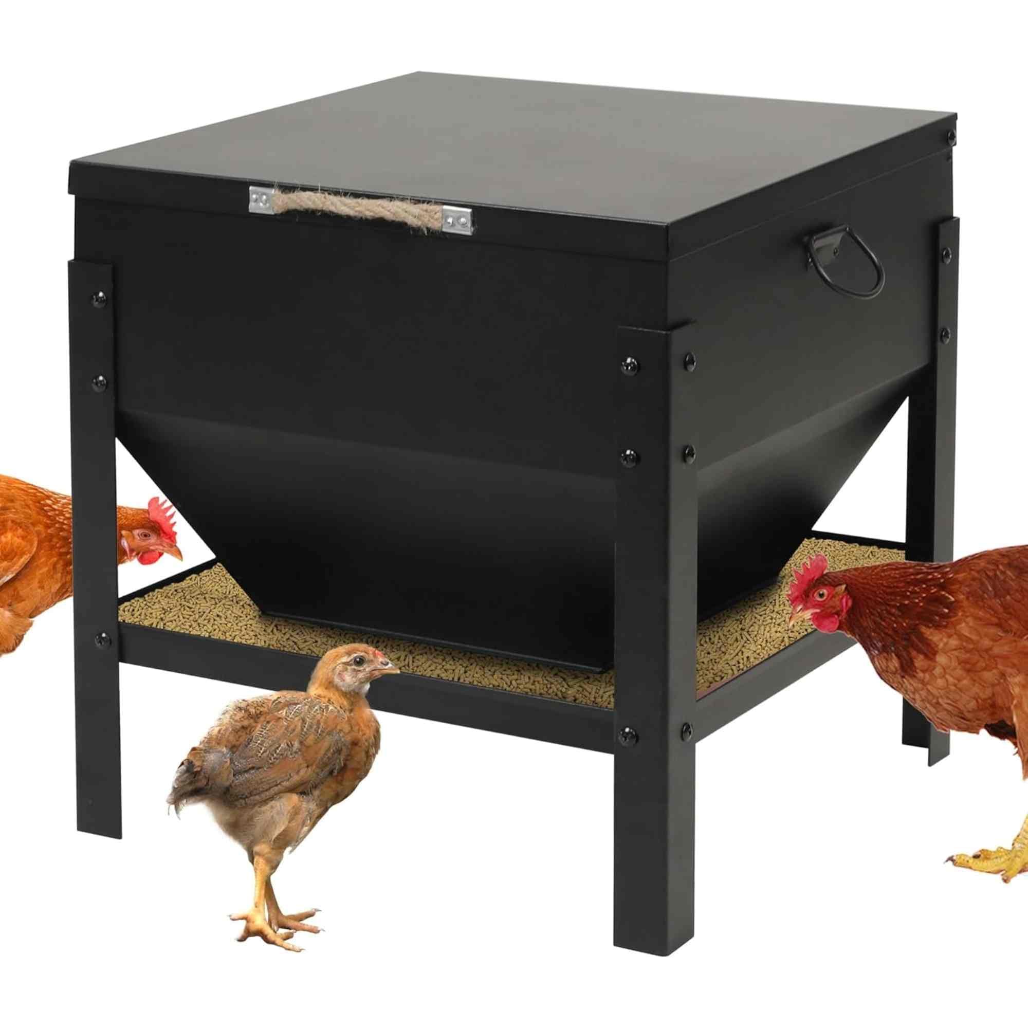 30+ Best Gifts for Chicken Lovers & Backyard Hen Keepers - Miow and Molly
