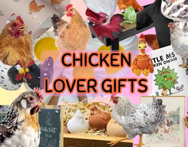 Chicken Lovers gifts - Party Planning & Gifts
